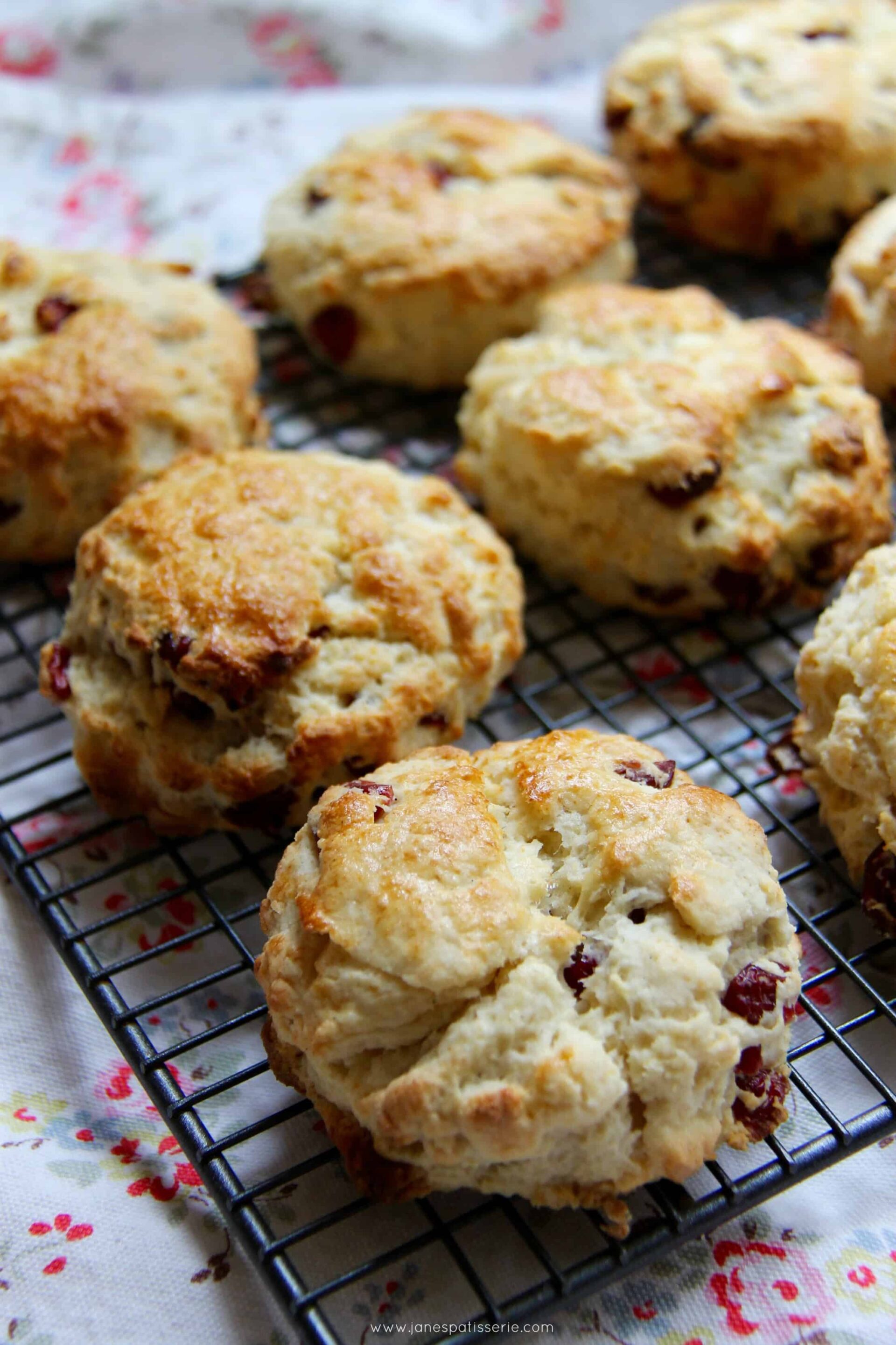 White Chocolate and Cranberry Scones! - Jane's Patisserie