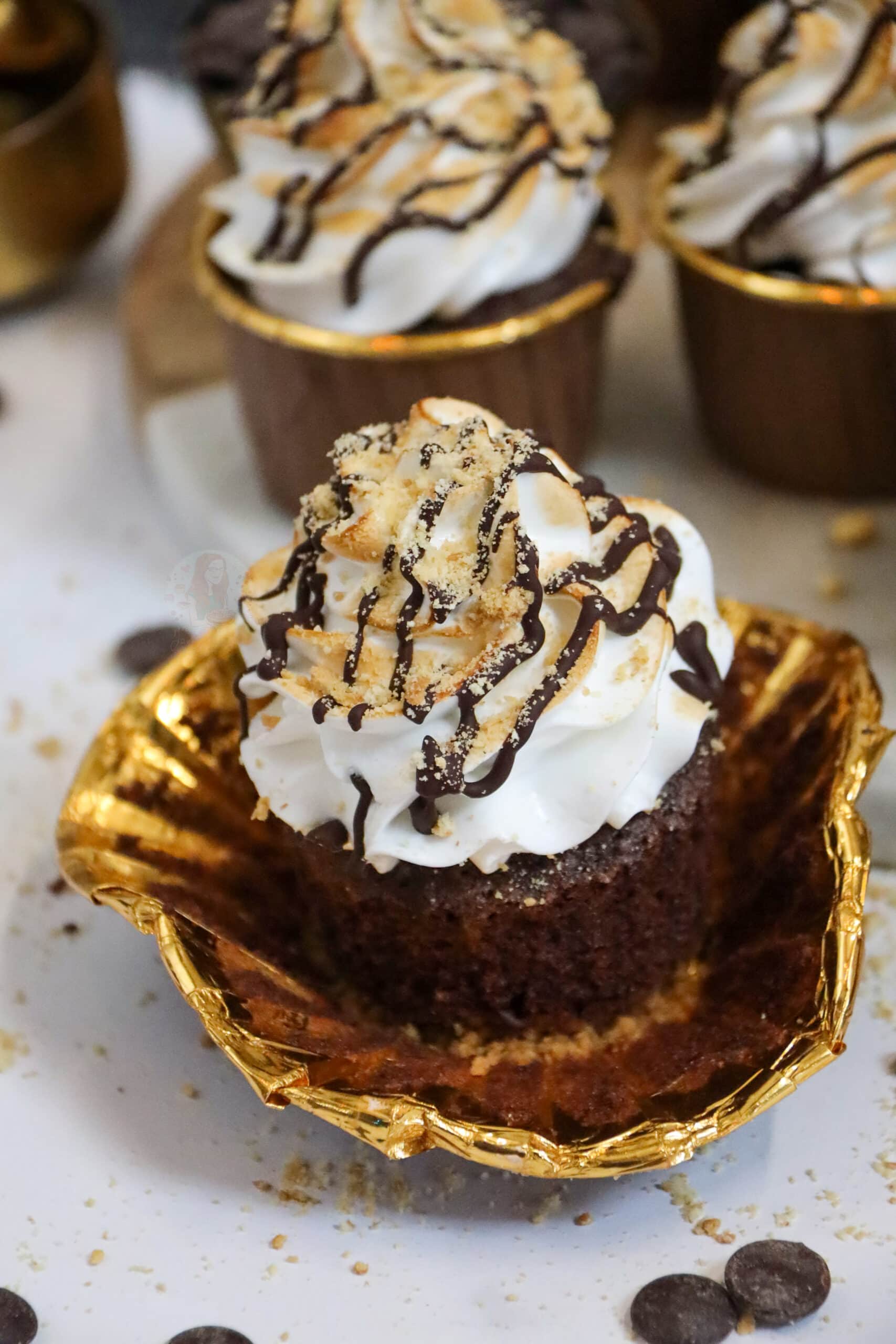 Smores Cupcakes S'mores Marble Cupcakes Recipe