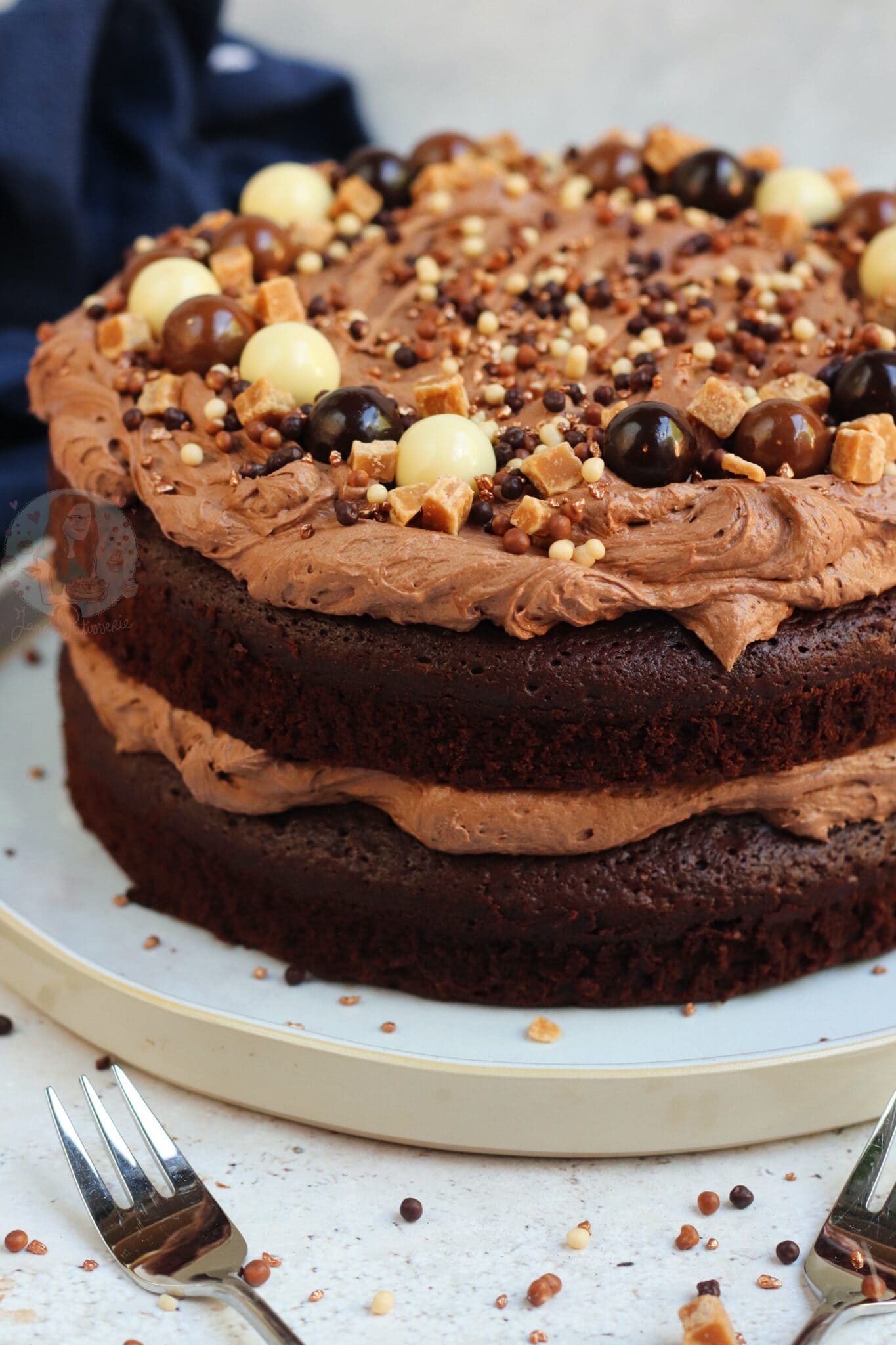Chocolate Fudge Cake with the BEST Chocolate Frosting ever! - Jane's ...