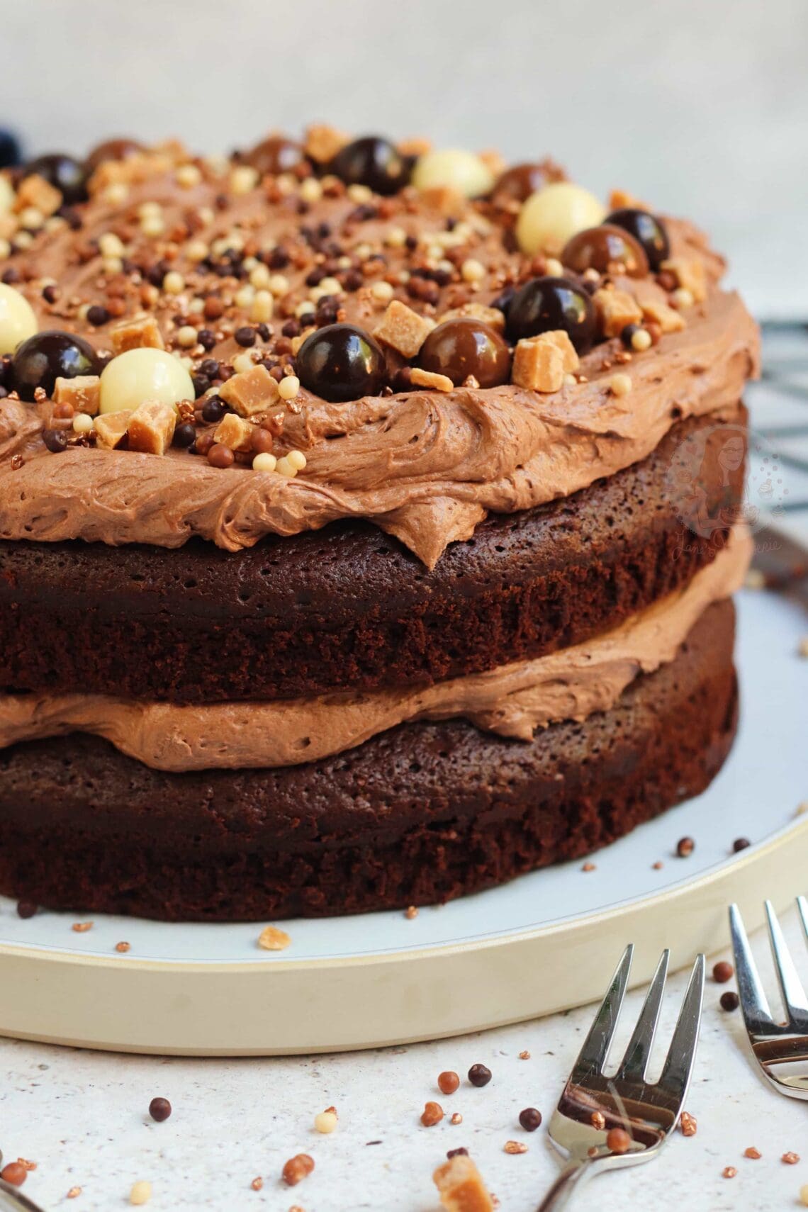 Chocolate Fudge Cake with the BEST Chocolate Frosting ever! - Jane's ...