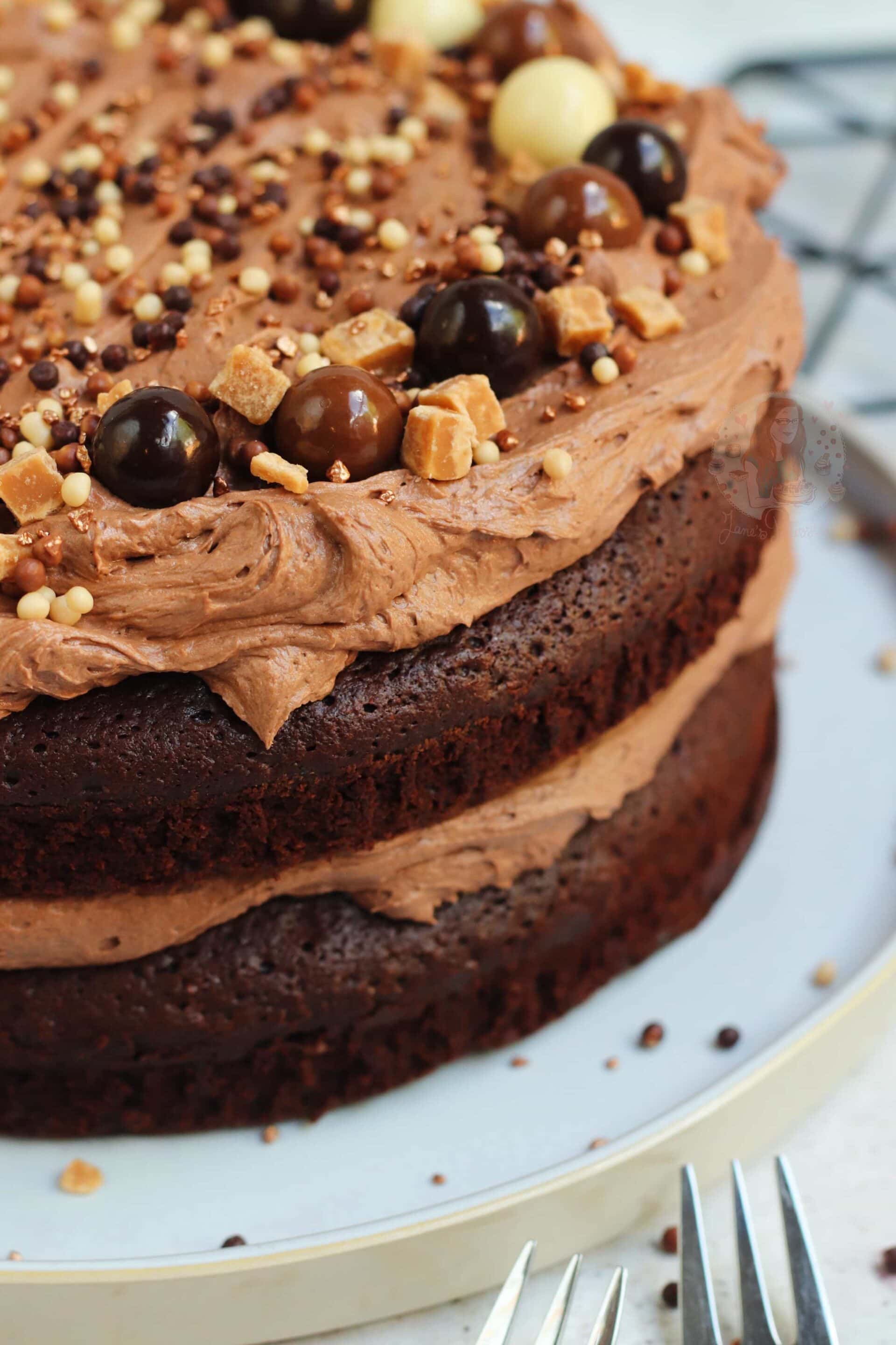 Chocolate Fudge Cake with the BEST Chocolate Frosting ever! - Jane's ...