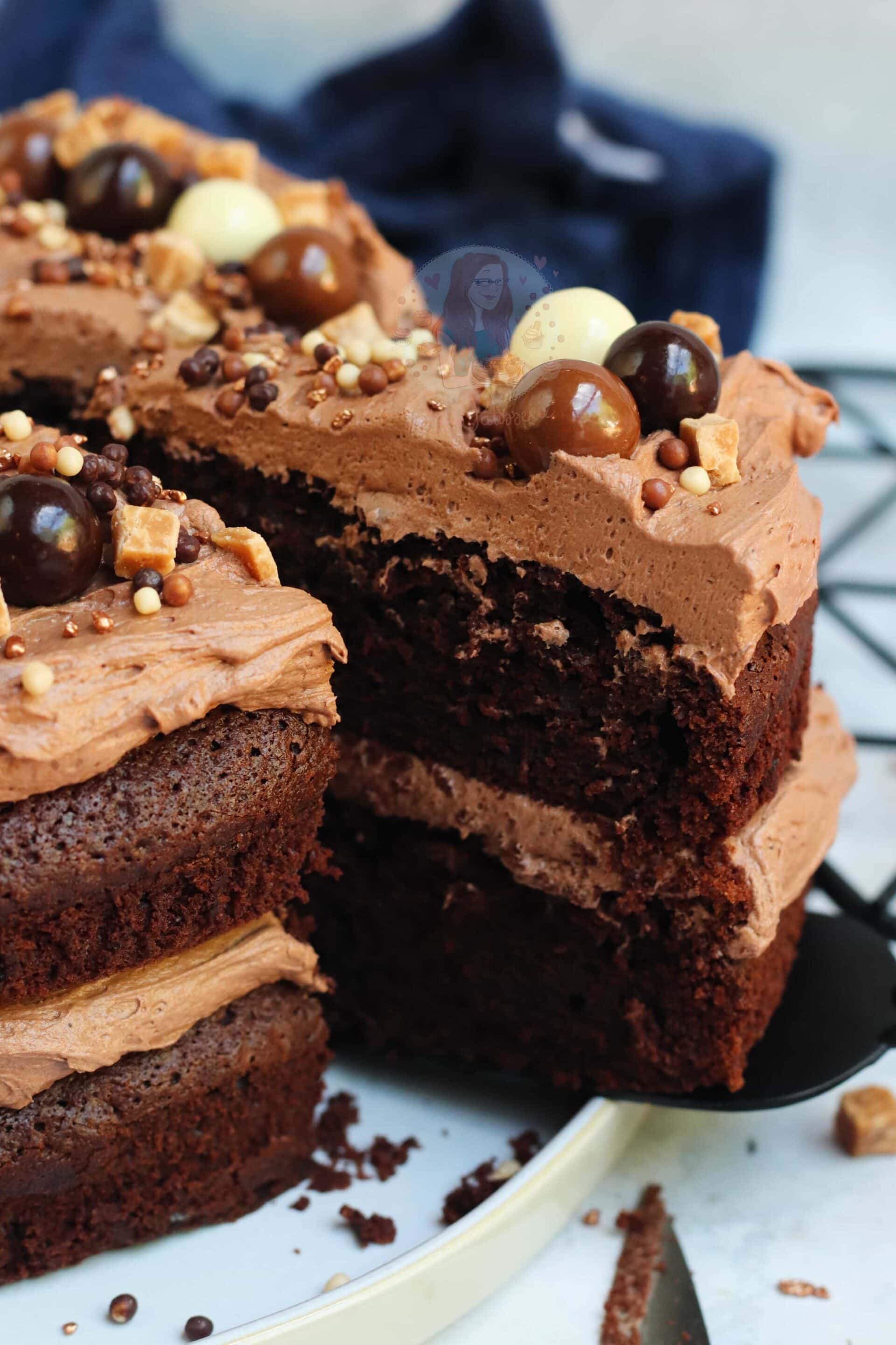 Chocolate Fudge Cake with the BEST Chocolate Frosting ever! - Jane's ...