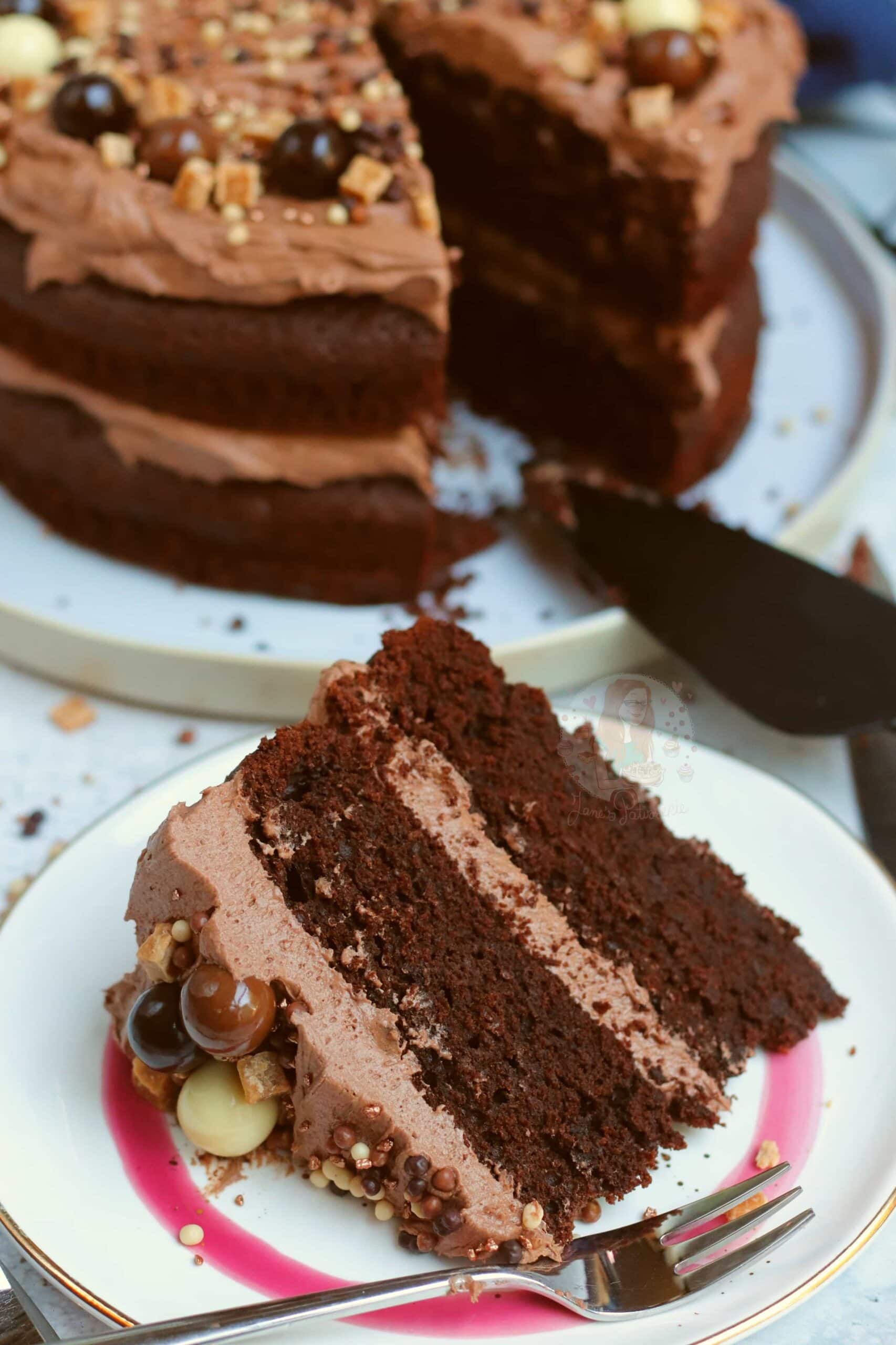 Chocolate Fudge Cake with the BEST Chocolate Frosting ever! - Jane's ...