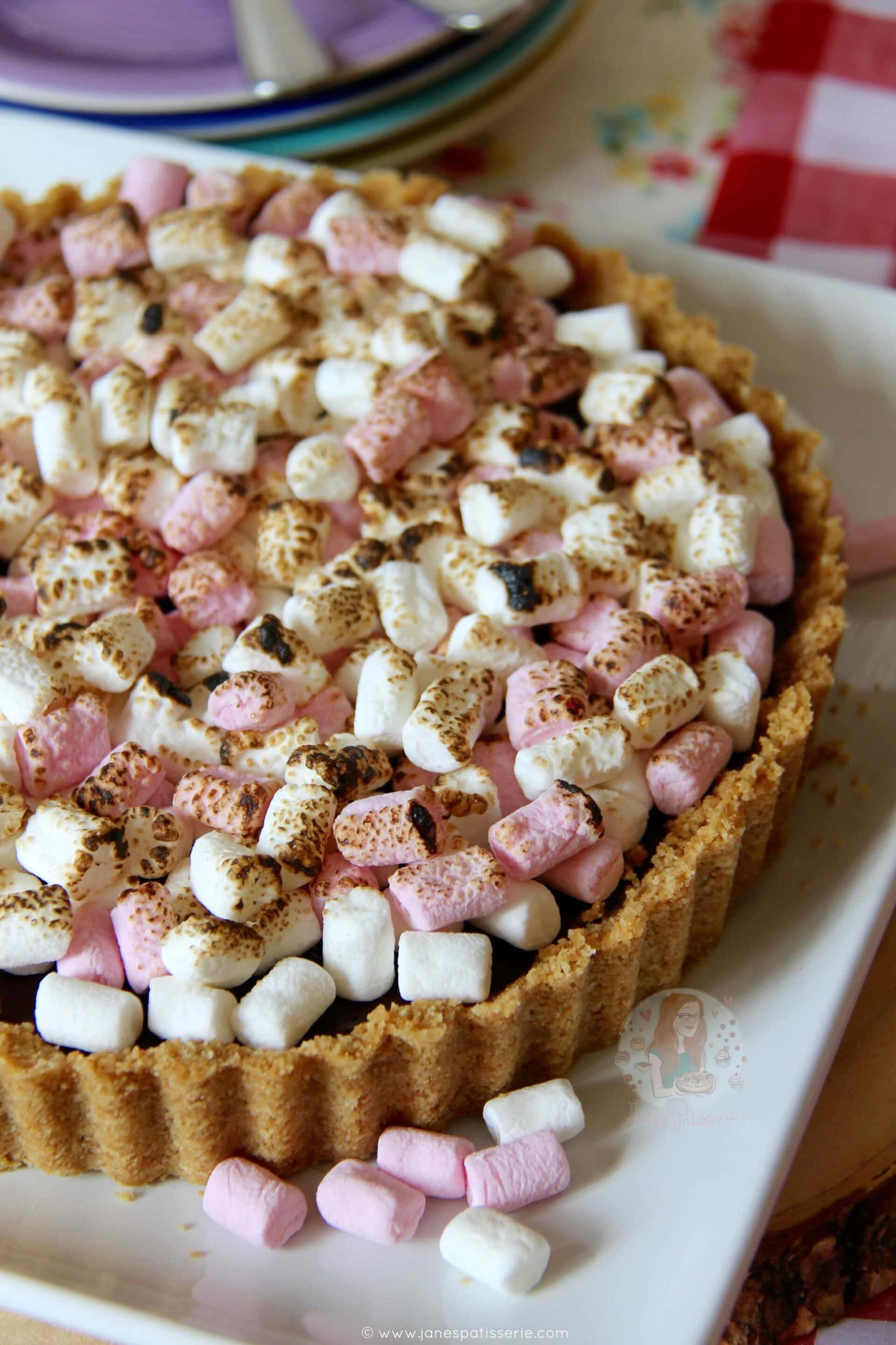 No-Bake S'mores Tart! - Jane's Patisserie