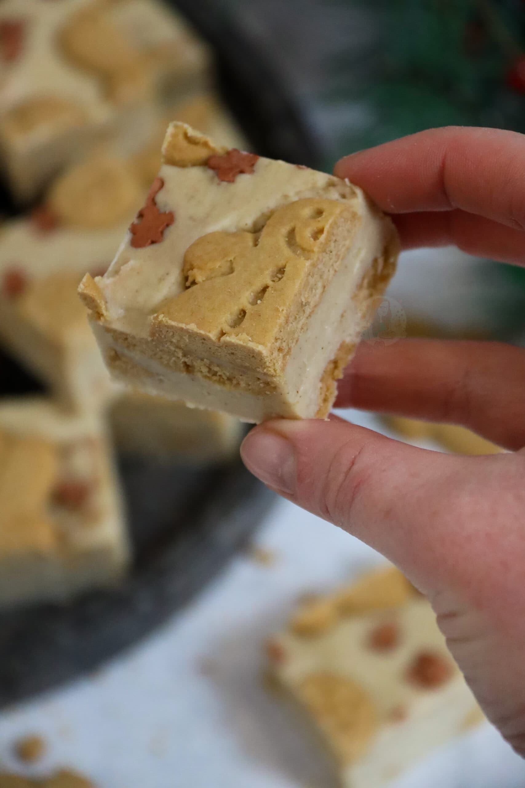 Gingerbread Fudge! - Jane's Patisserie