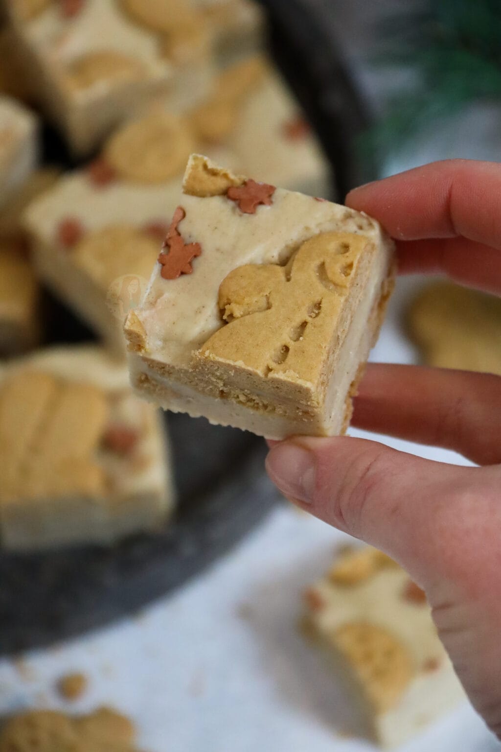 Gingerbread Fudge! - Jane's Patisserie