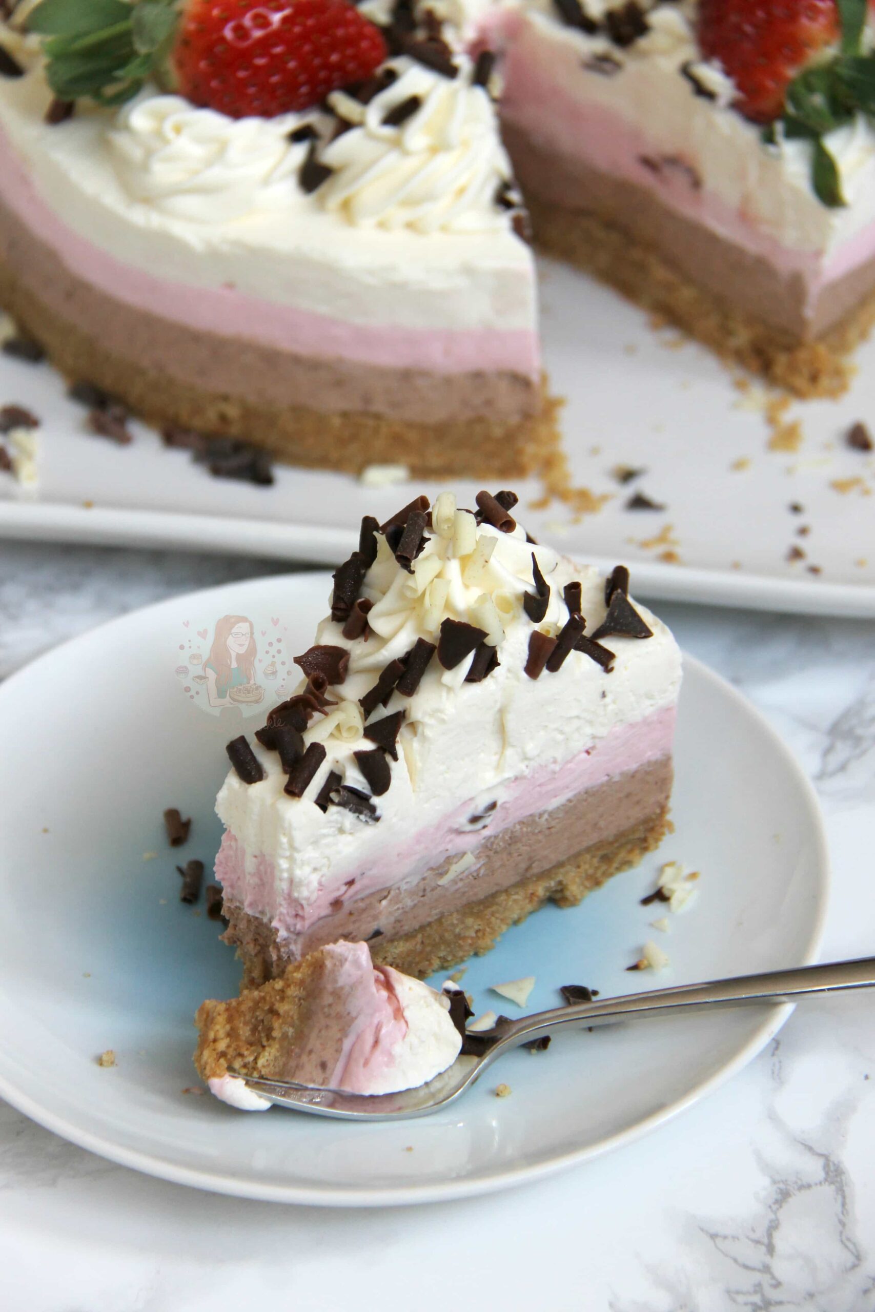 No-Bake Neapolitan Cheesecake! - Jane's Patisserie