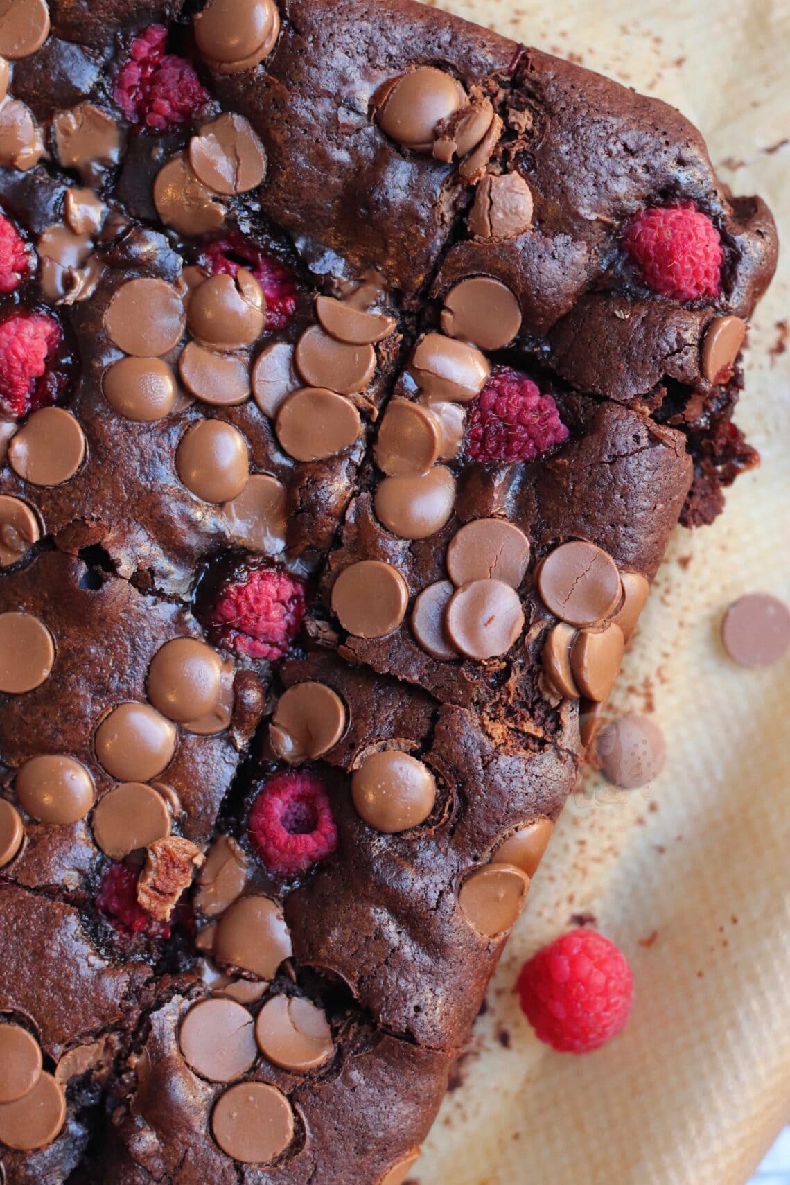 Raspberry Brownies! - Jane's Patisserie