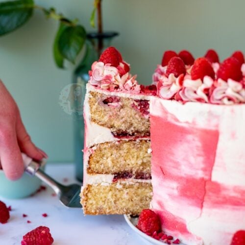 Raspberry Ripple Cake! - Jane's Patisserie