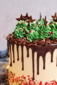 Christmas Drip Cake! - Jane's Patisserie