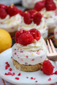 Mini Lemon & Raspberry Cheesecakes! - Jane's Patisserie