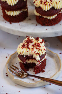 Mini Red Velvet Cakes! - Jane's Patisserie