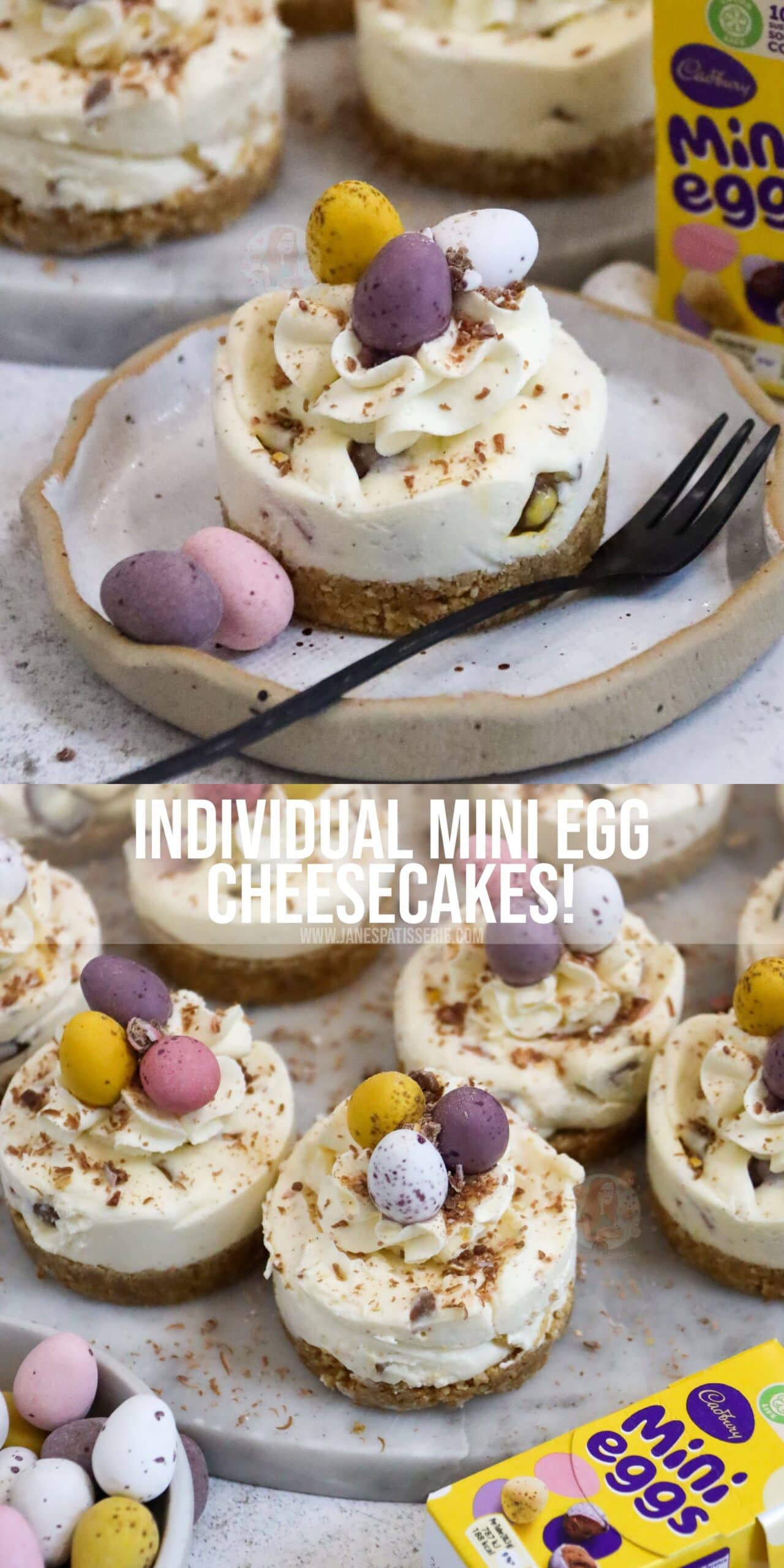 Individual Mini Egg Cheesecakes! - Jane's Patisserie