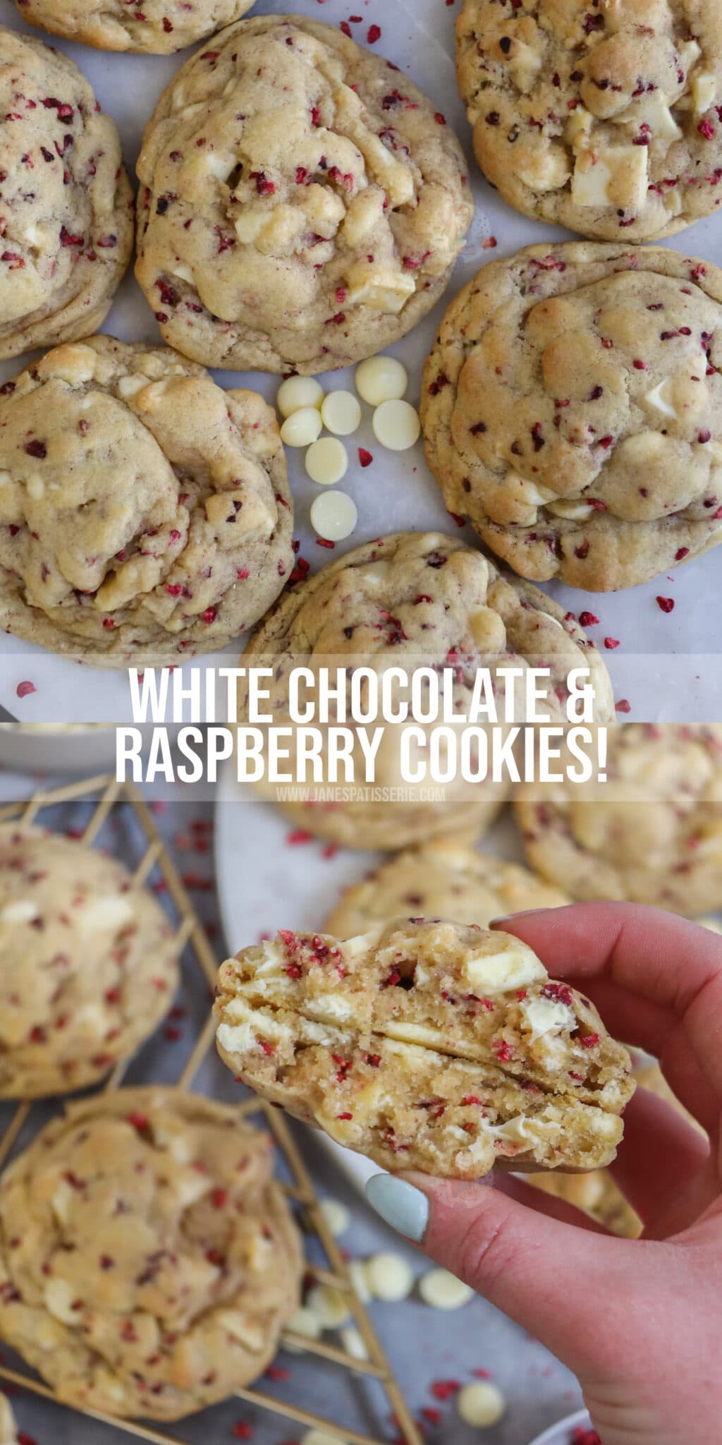White Chocolate Raspberry Cookies - Jane's Patisserie