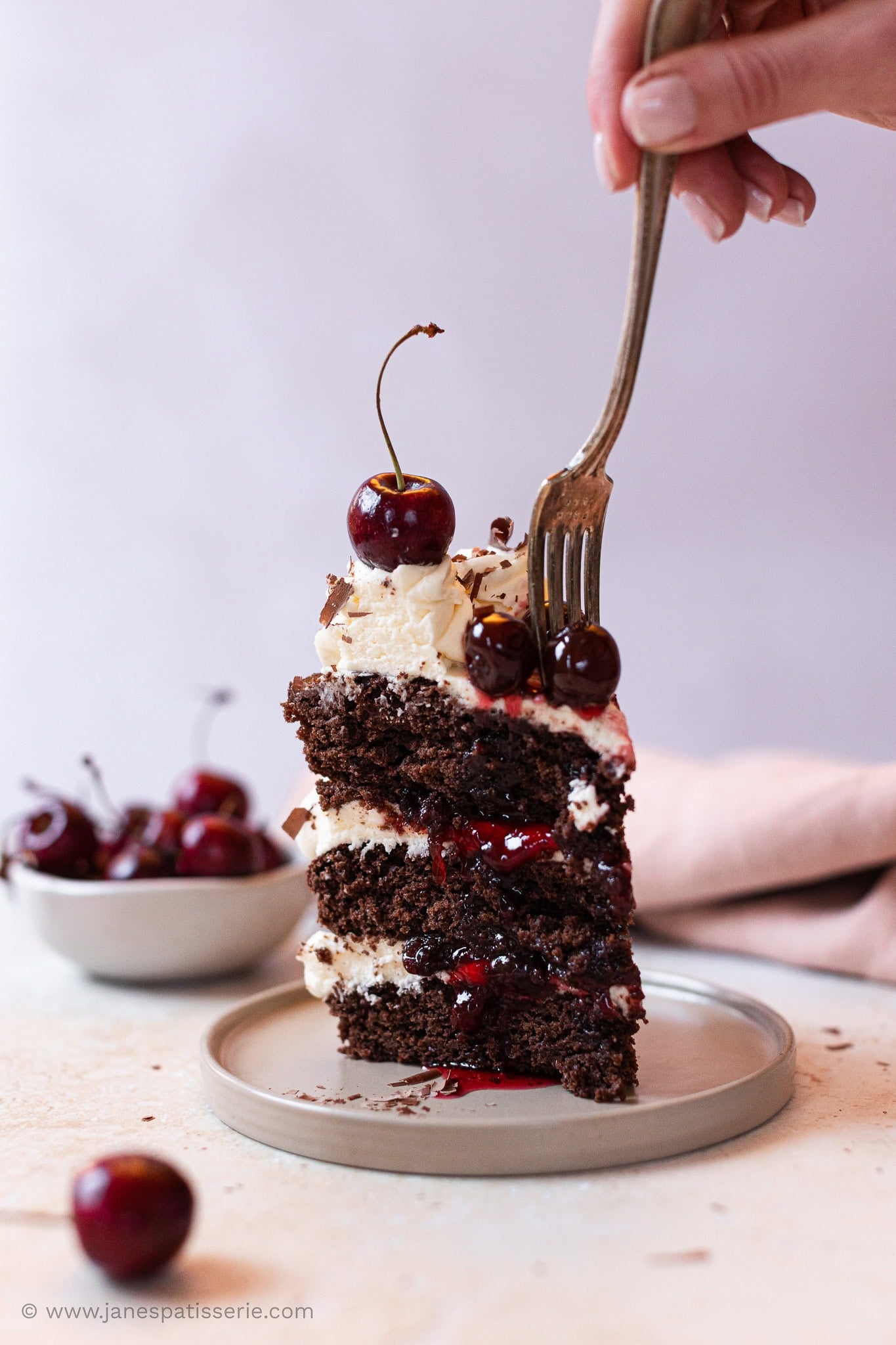 Black Forest Fudge Cake! - Jane's Patisserie