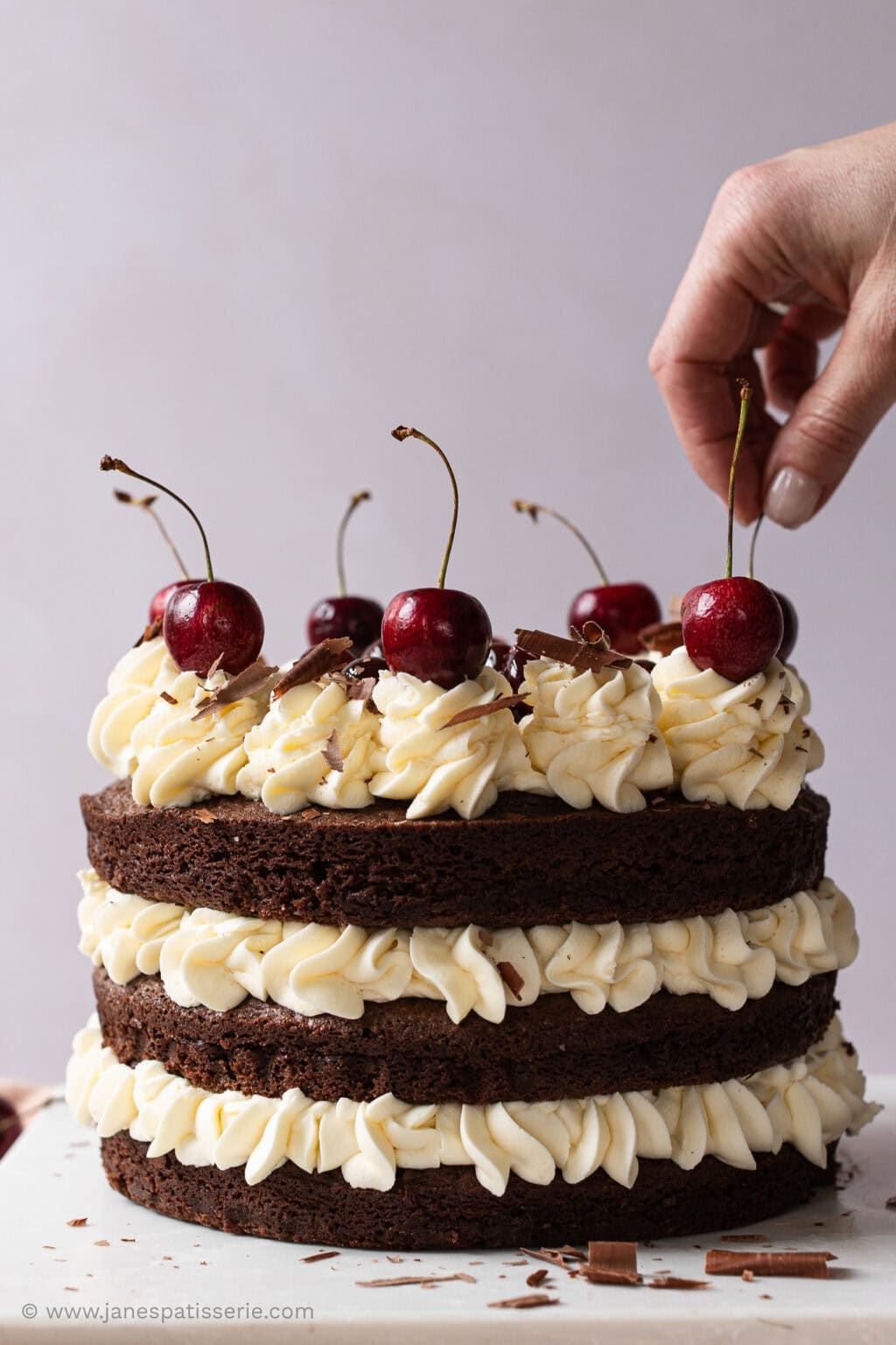 Black Forest Fudge Cake! - Jane's Patisserie