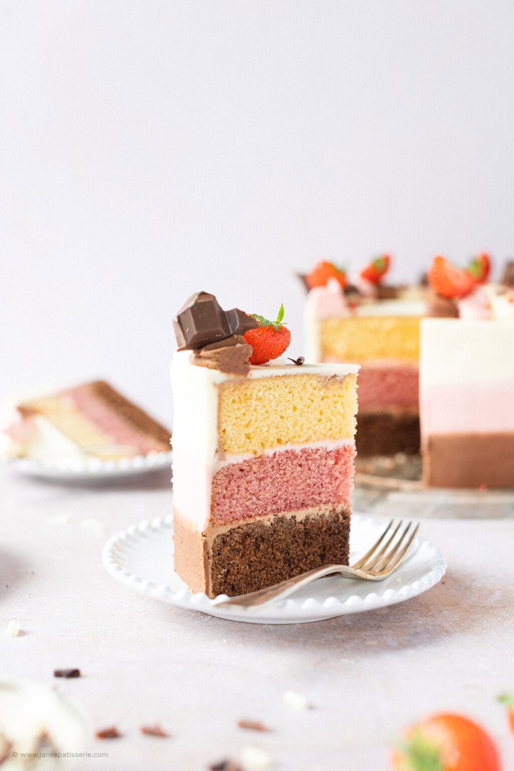 Neapolitan Cake! - Jane's Patisserie